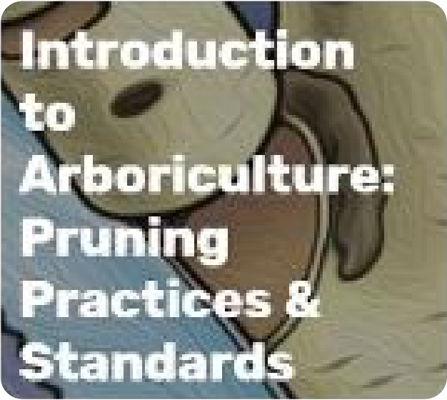 Introduction to Arboriculture - Pruning Practices and Standards | ISA Prod